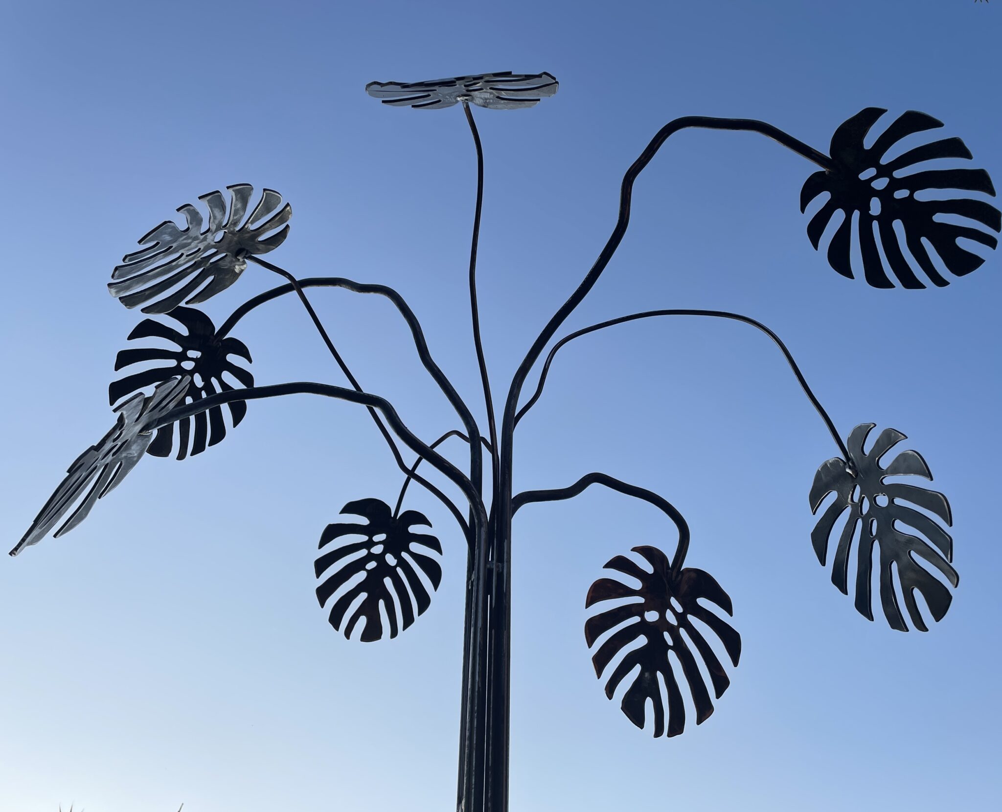 Artist Statement | Scott Michell